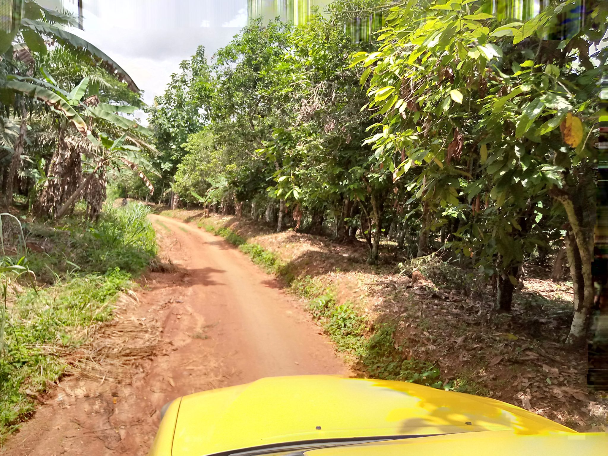 About – Ekiti RAAMP